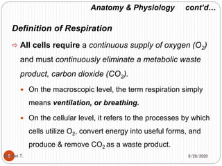 Assessment of-respiratory-system | PPT