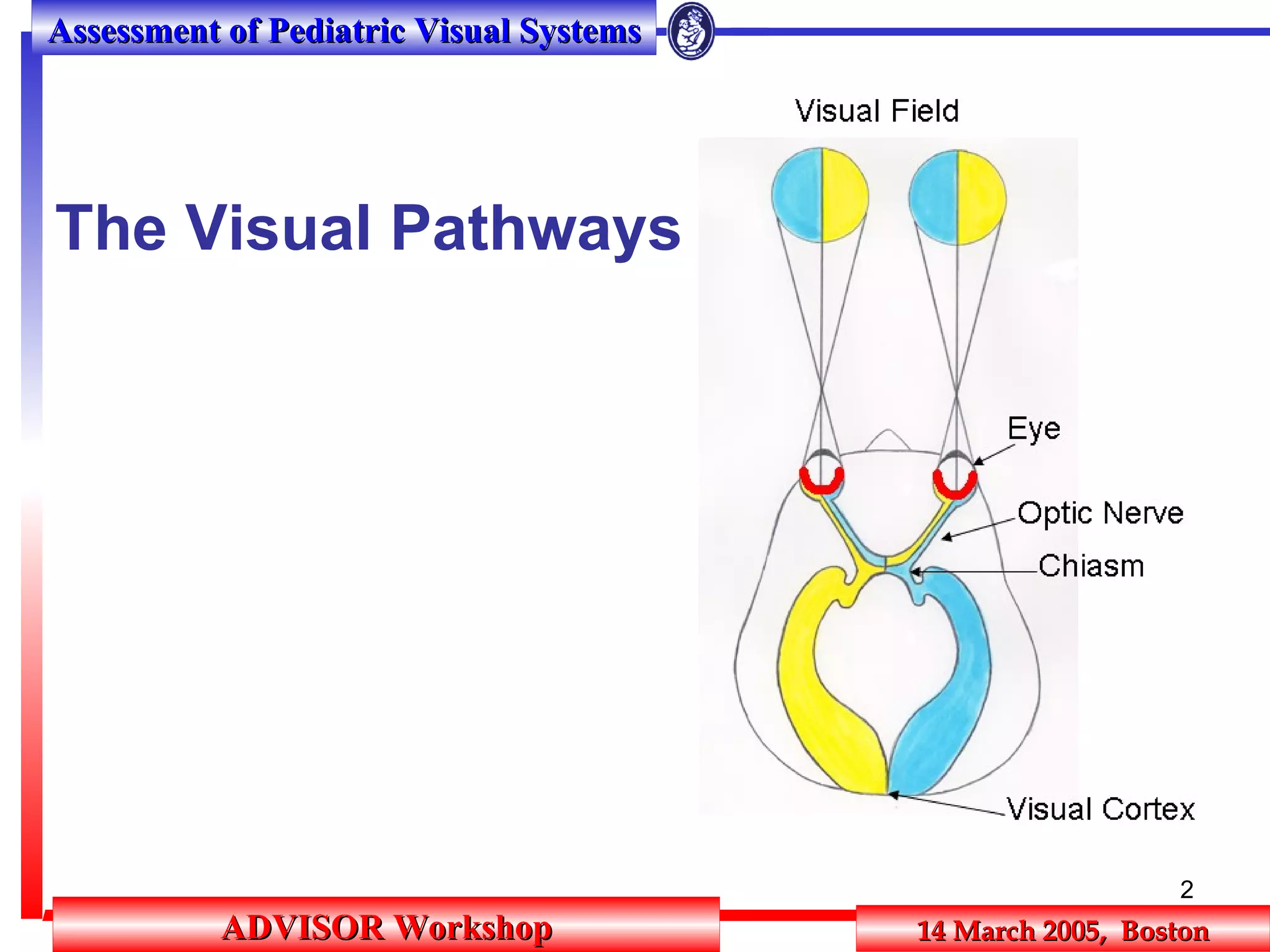 Assessment of the Pediatric Visual System | PPT