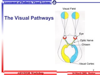 Assessment of the Pediatric Visual System | PPT | Eye and Vision ...