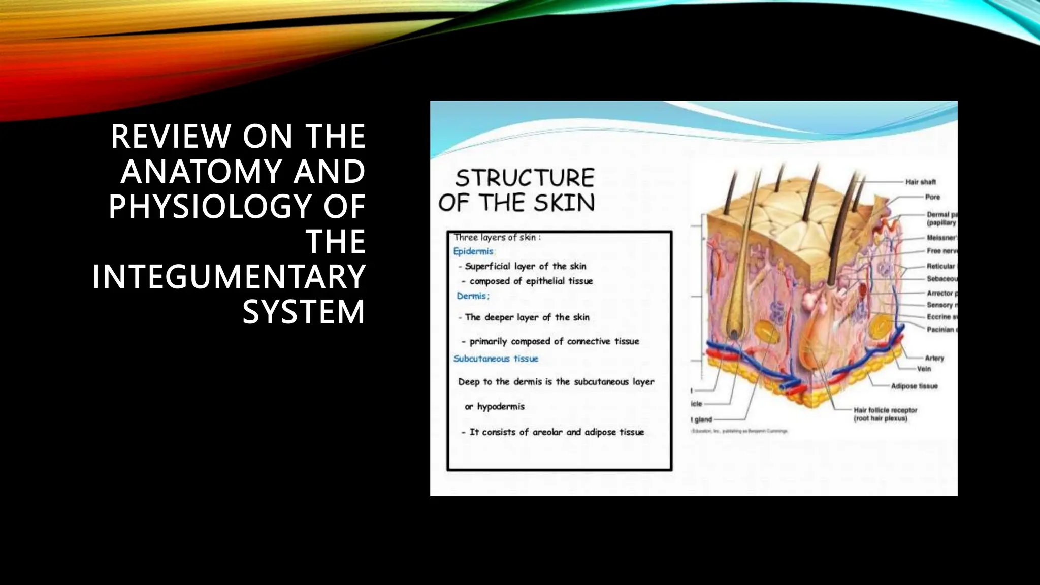 ASSESSMENT OF THE SKIN, HAIR, AND NAILS.pptx