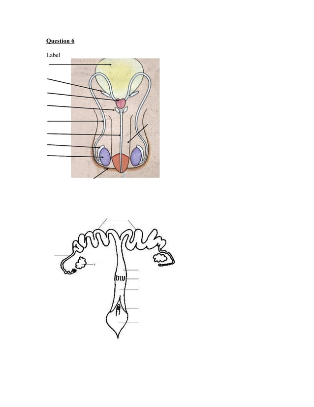 Assessment 4 (reproduction) | PDF