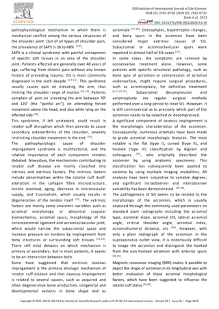 Assessment_Acromion_Morphology_Association_Shoulder_Impingement ...