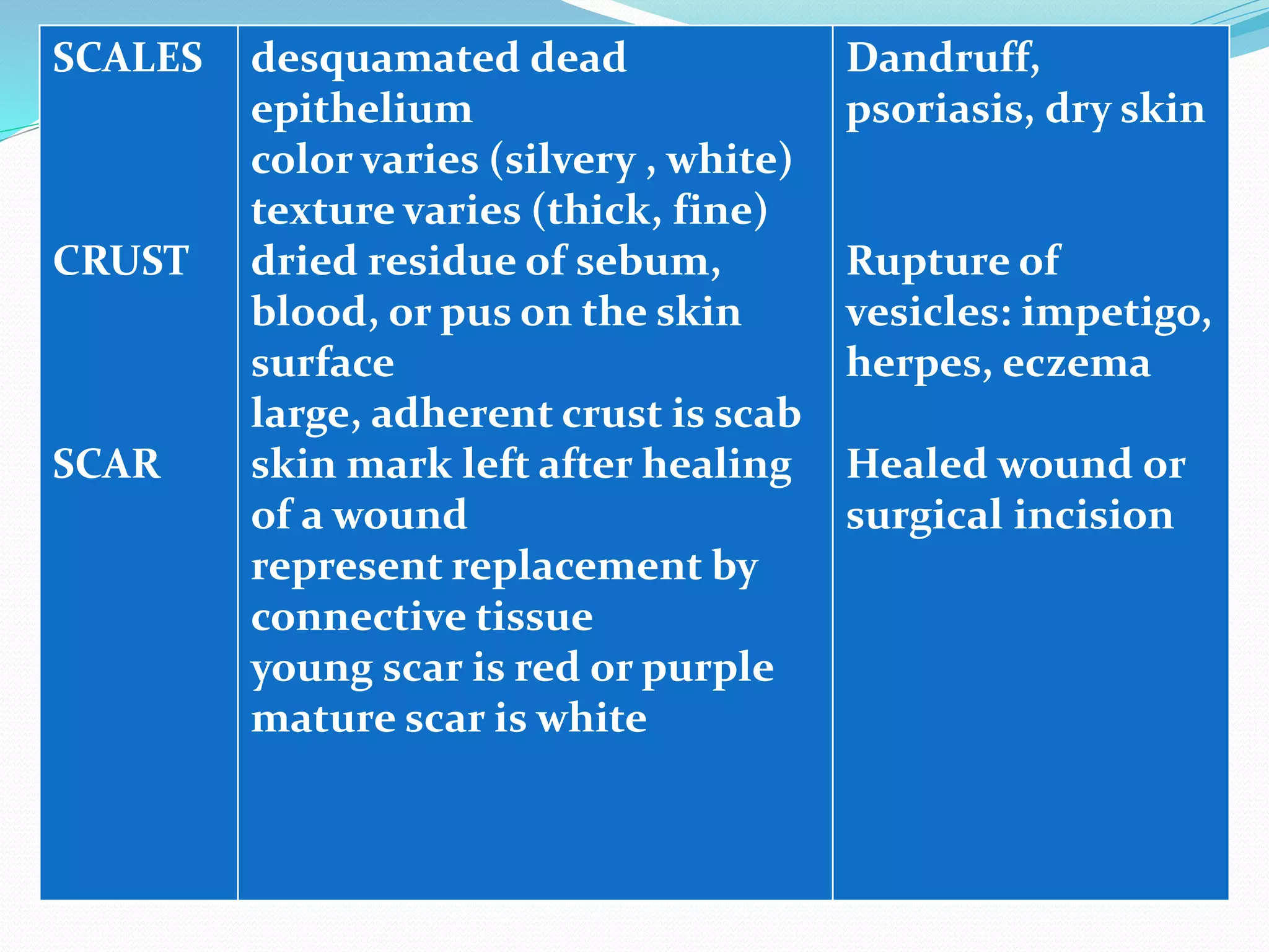 Assessment and diagnostic evaluation of integumentary system | PPTX