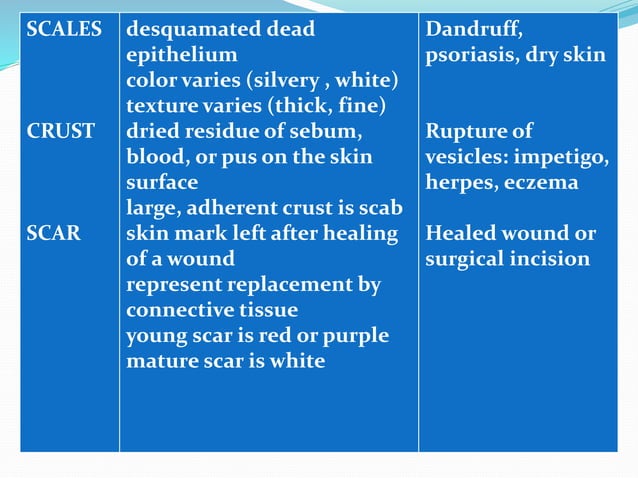 Assessment and diagnostic evaluation of integumentary system | PPTX ...