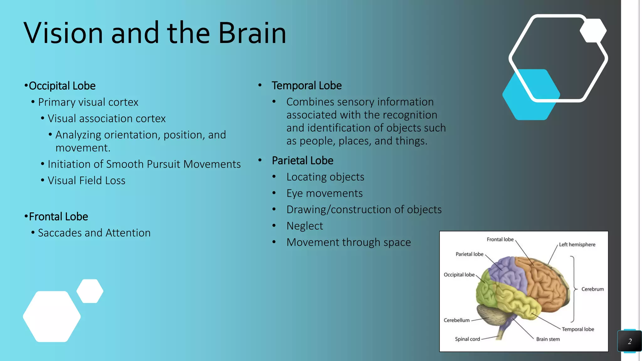Assessment And Intervention Of Visual Perception And Cognition3 Pdf
