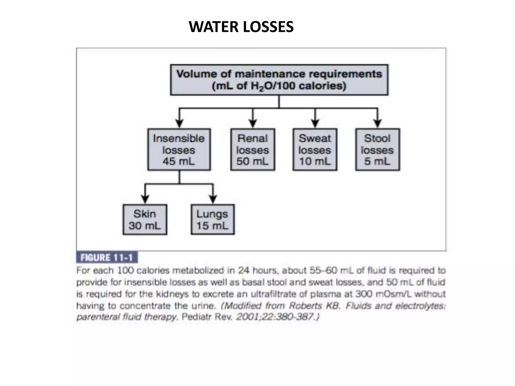 Assessment and management of dehydration siddarth mahajan | PPTX