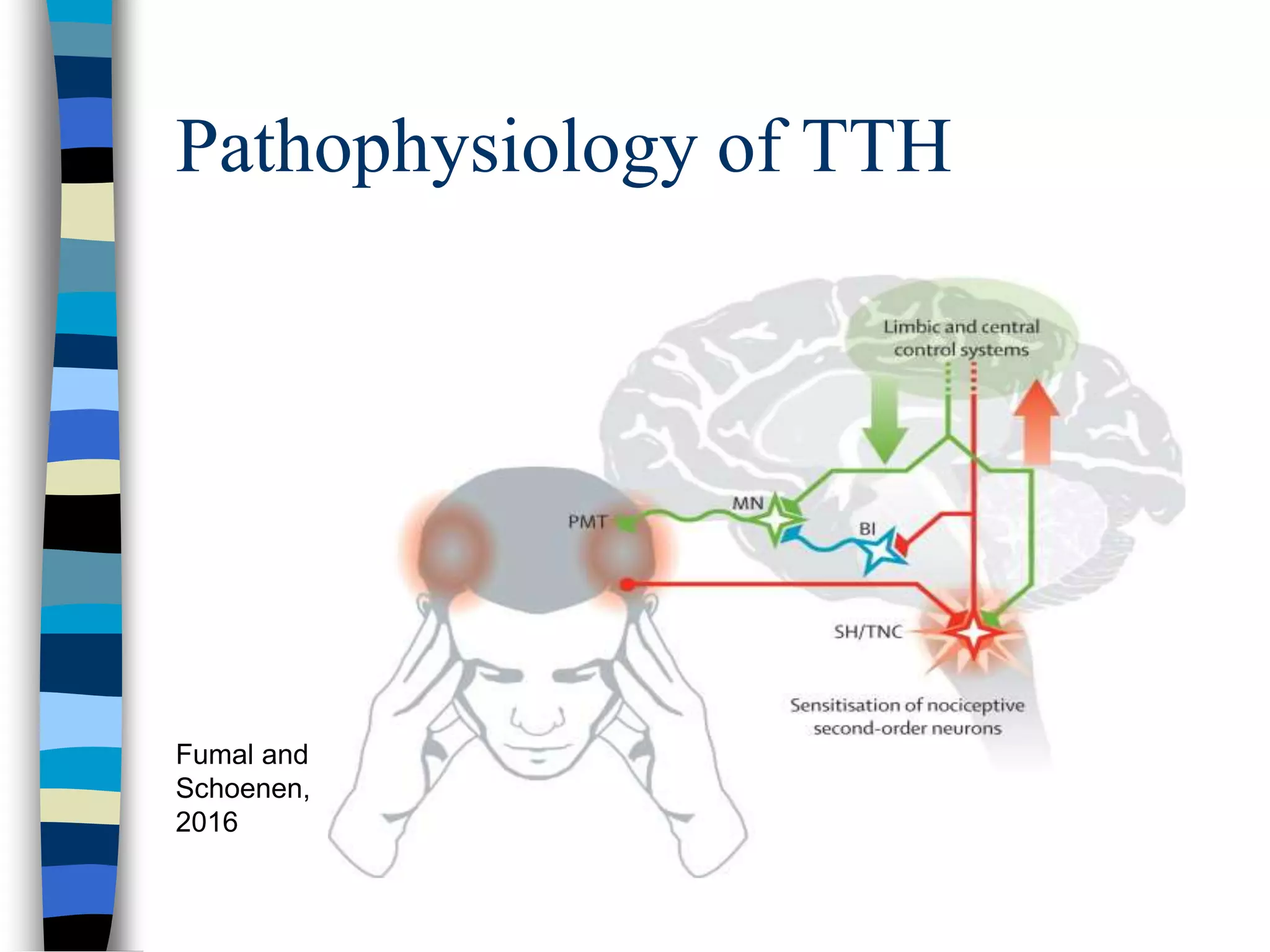 Assessment and management of pain | PPTX