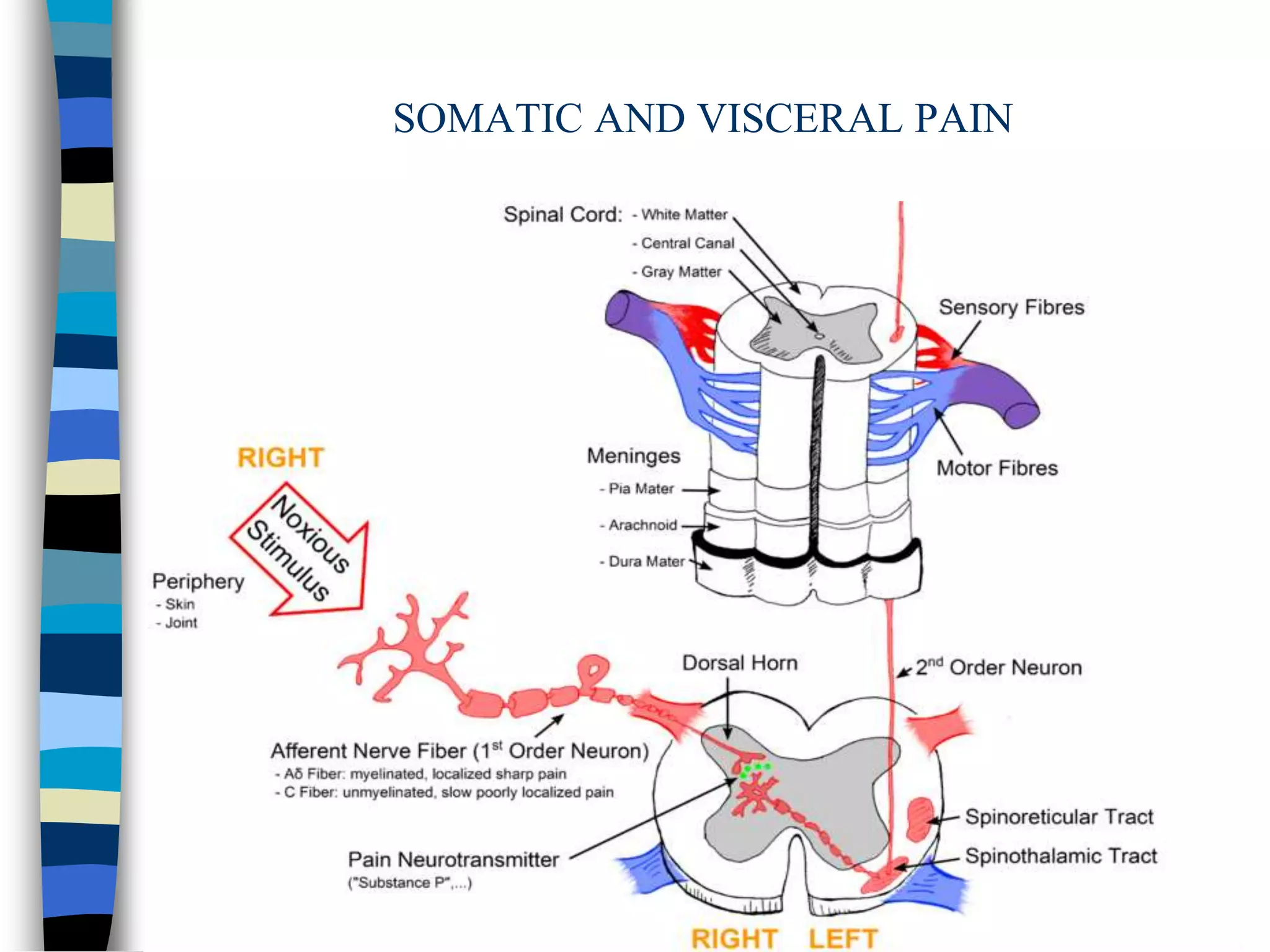 Assessment and management of pain | PPTX