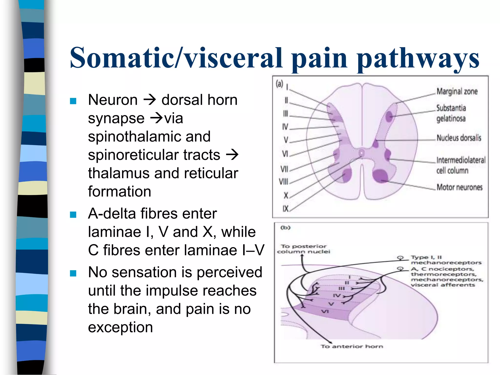 Assessment and management of pain | PPTX