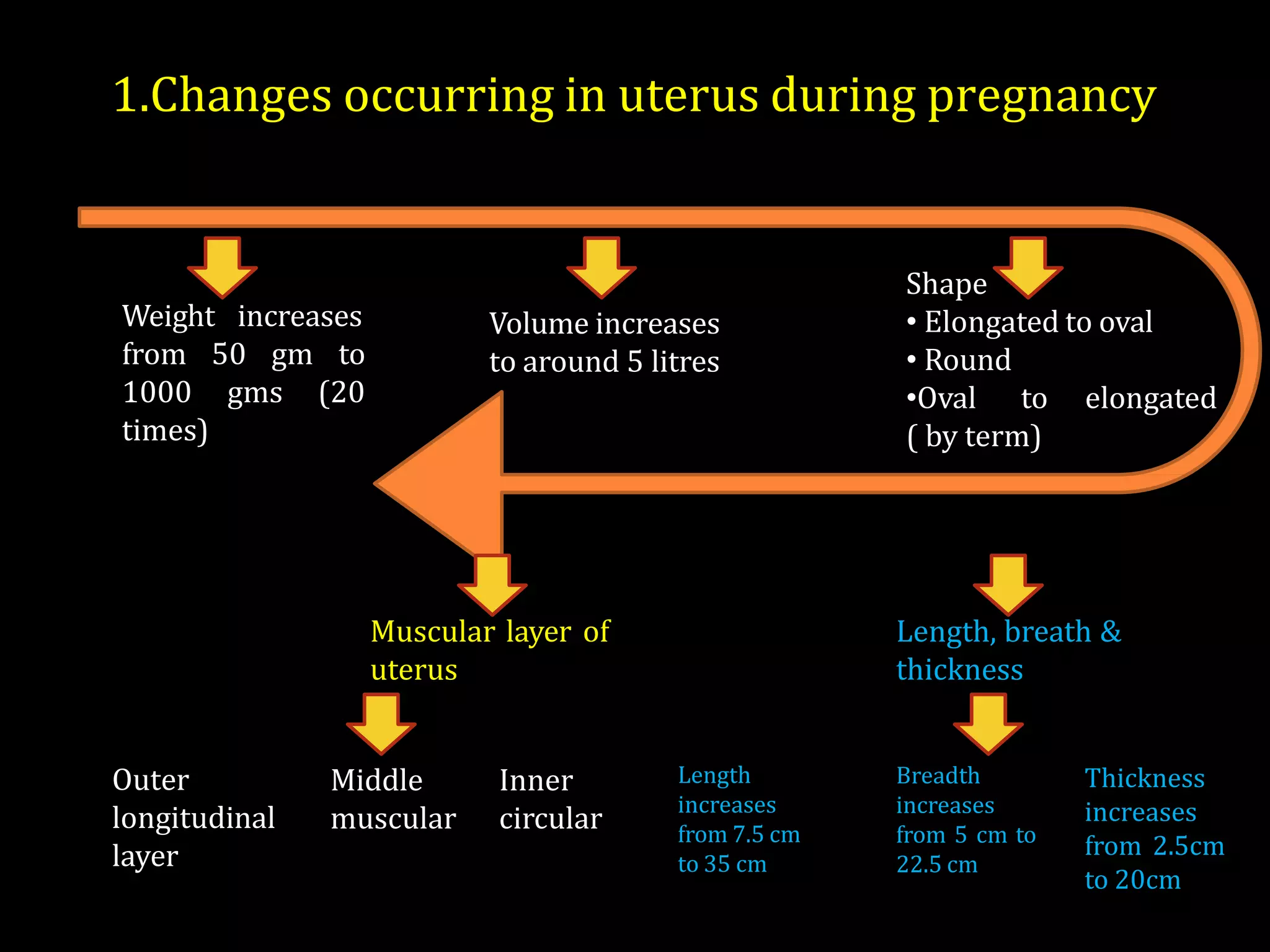 assessment and management of pregnancy ( antenatal).pptx