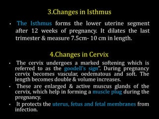 assessment and management of pregnancy ( antenatal).pptx