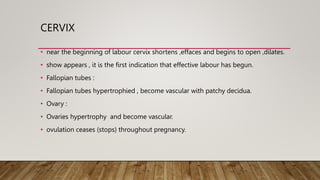 Assessment and management of pregnancy (antenatal) ppt.pptx