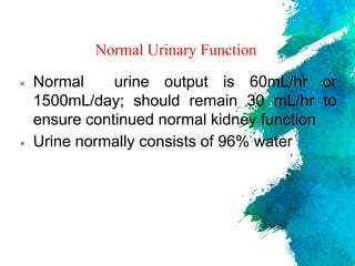 Assessment and management of urinary elimination meeting special need ...