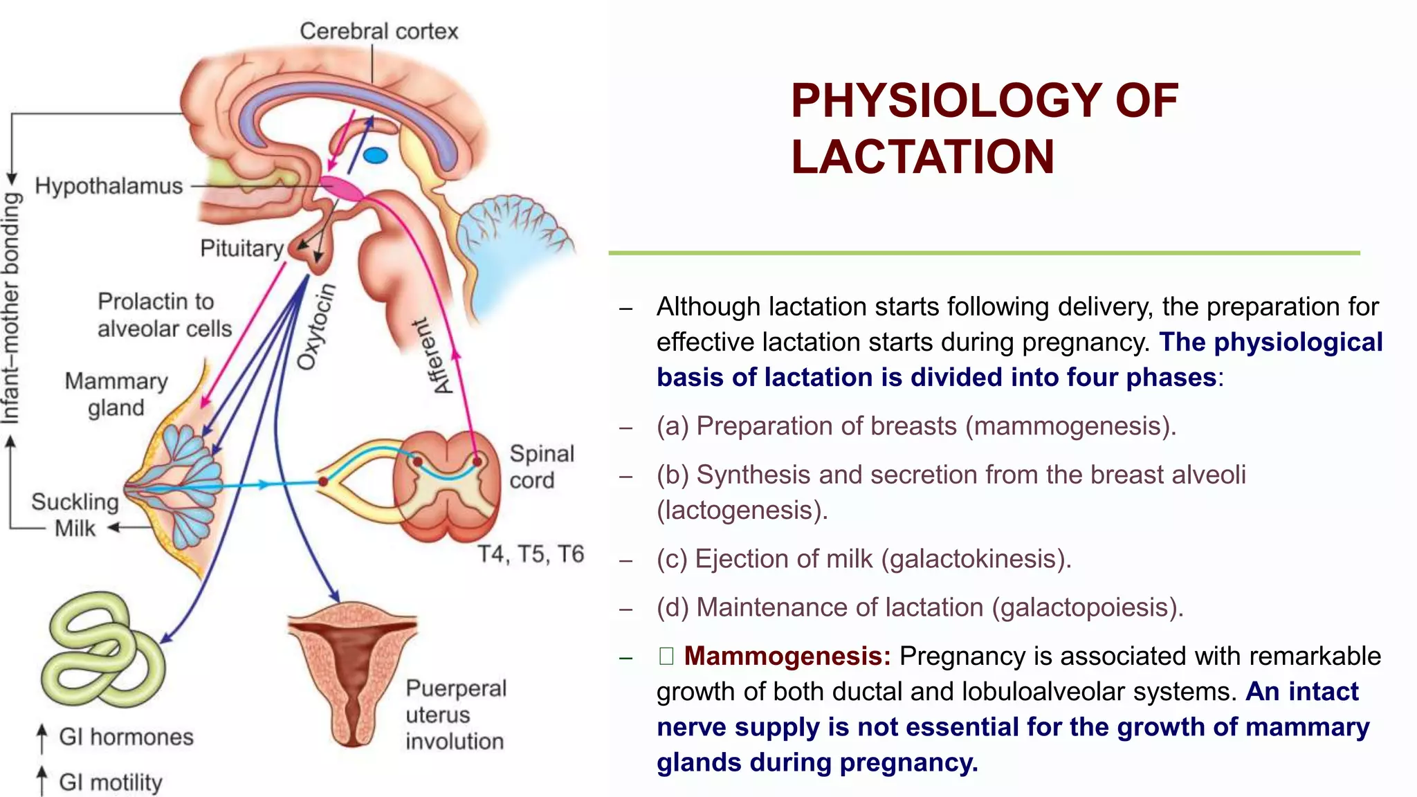 Assessment and management of women during post natal | PPTX
