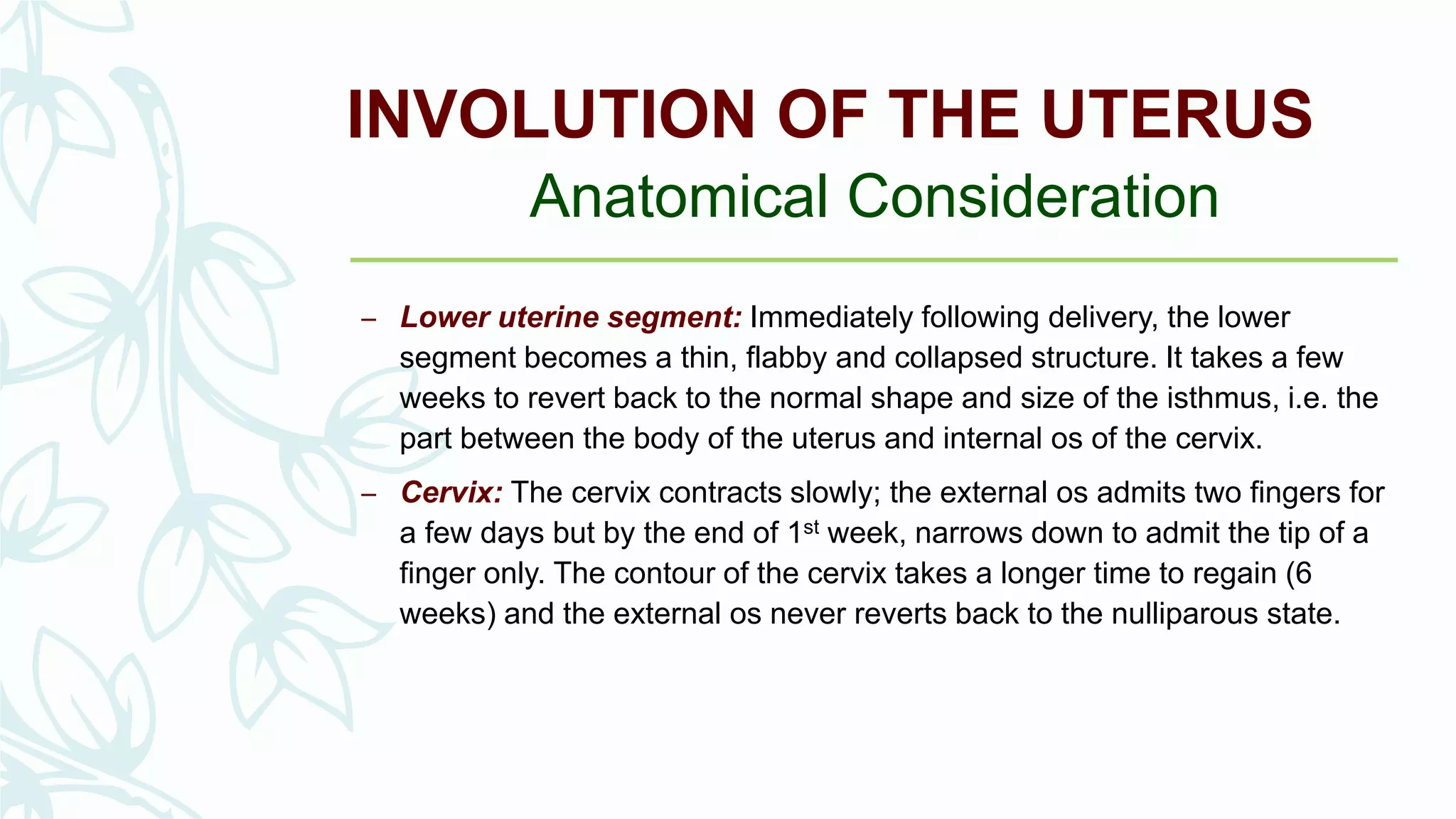 Assessment and management of women during post natal | PPTX