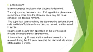 ASSESSMENT AND MANAGEMENT OF WOMEN DURING POSTNATAL PERIOD.pptx