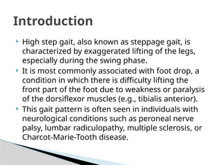 Assessment and physiotherapy management of High step gait.pptx