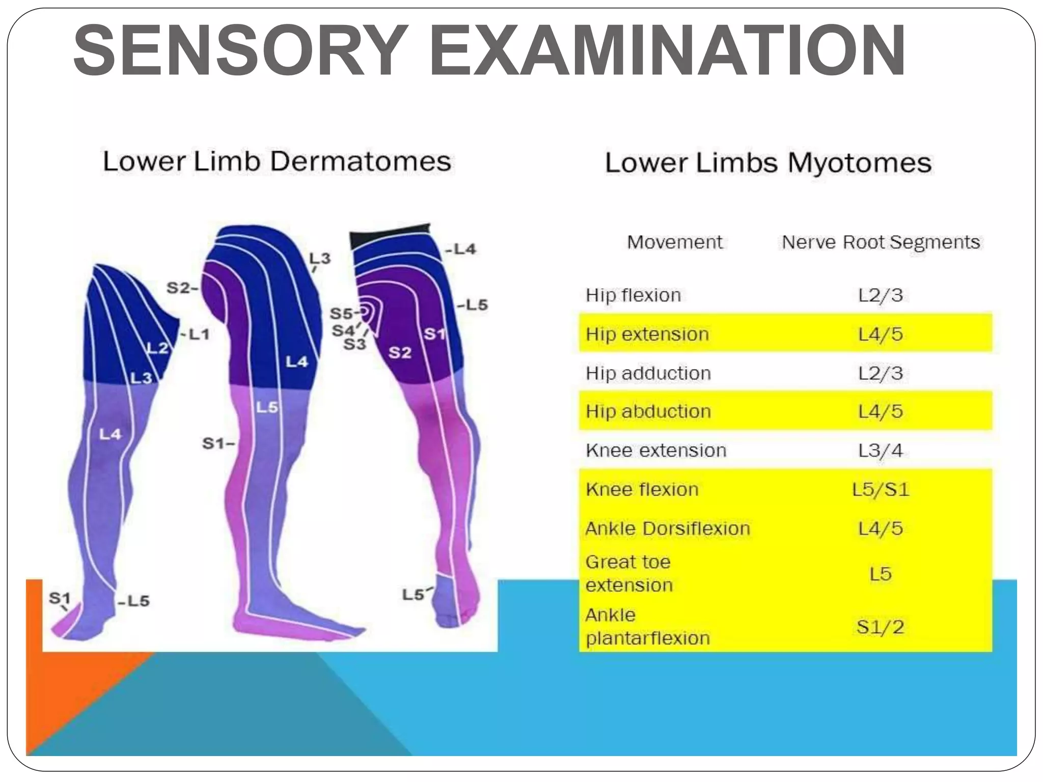 Assessment and special tests of Hip joint | PPTX