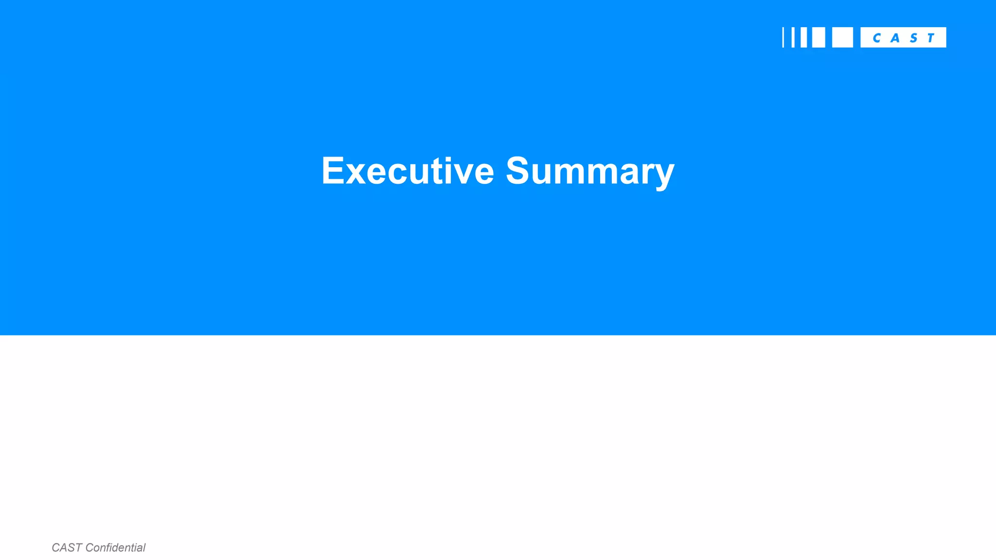 Application Assessment - Executive Summary Report | PDF