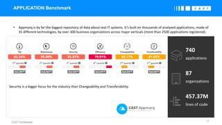Application Assessment - Executive Summary Report | PDF
