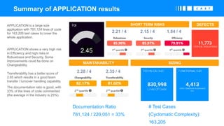 Application Assessment - Executive Summary Report | PDF