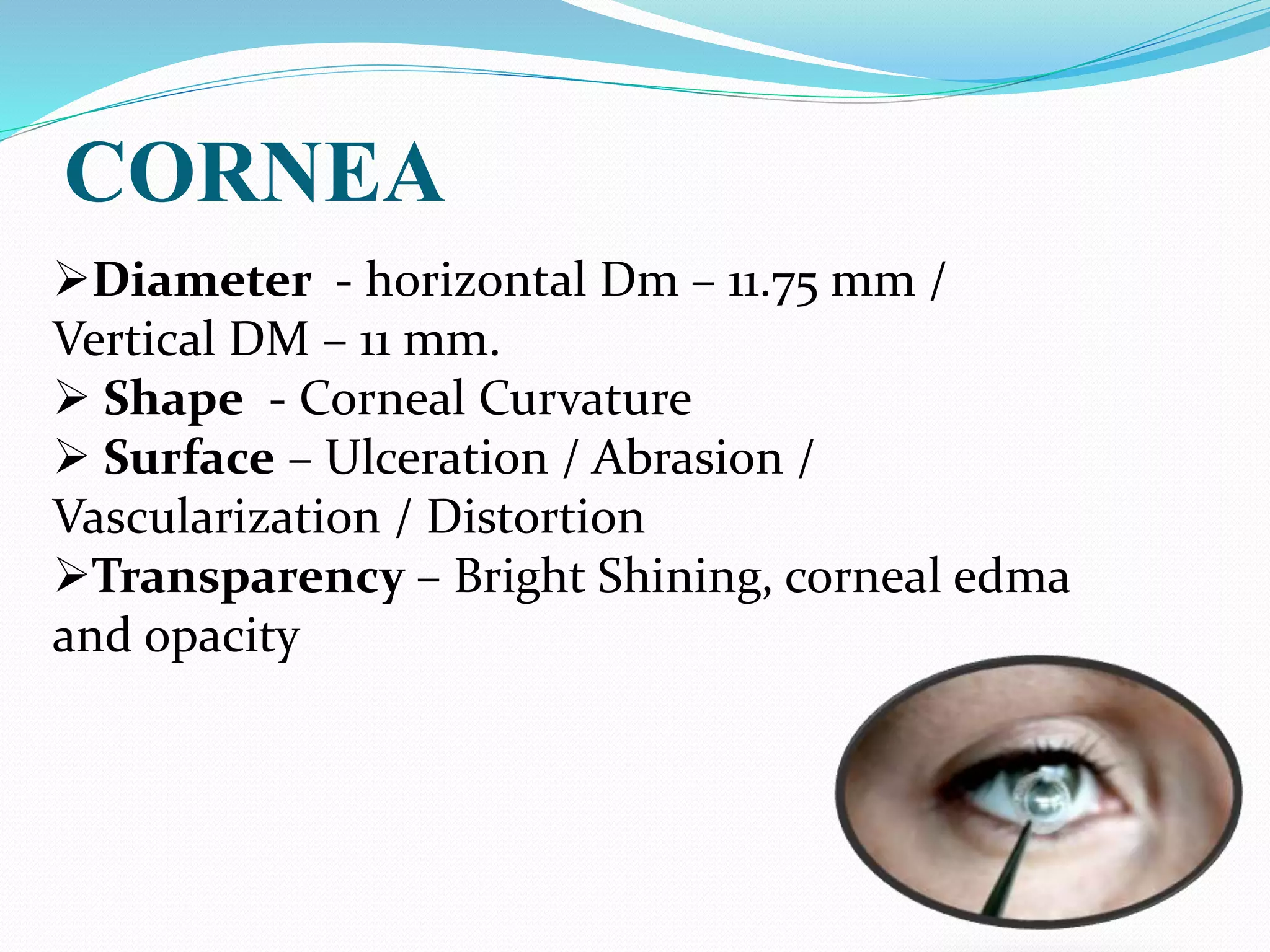 ASSESSMENT OF EYE | PPTX