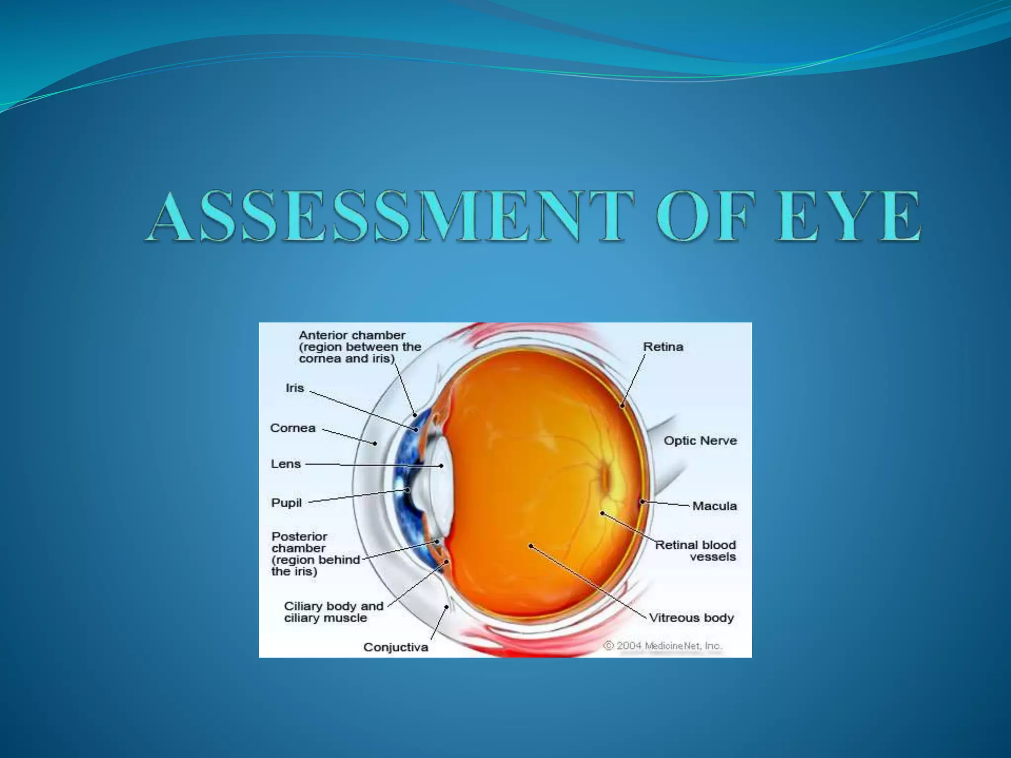 ASSESSMENT OF EYE | PPTX