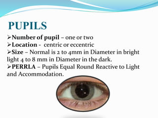 ASSESSMENT OF EYE | PPTX