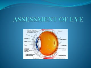 ASSESSMENT OF EYE | PPTX