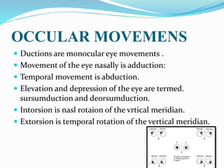 ASSESSMENT OF EYE | PPT