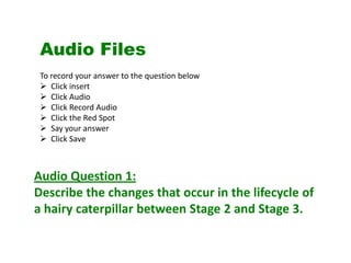 Assessment Hairy Caterpillars Grade 2 Science | PPTX