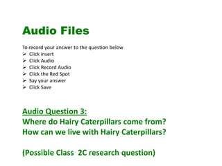Assessment Hairy Caterpillars Grade 2 Science | PPTX