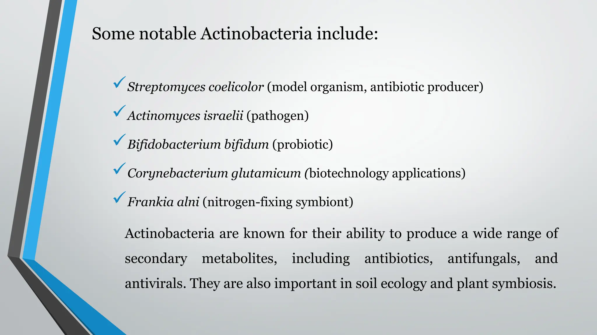 Important groups of prokaryotes : Bacteria & Archaea , it’s Subgroups ...