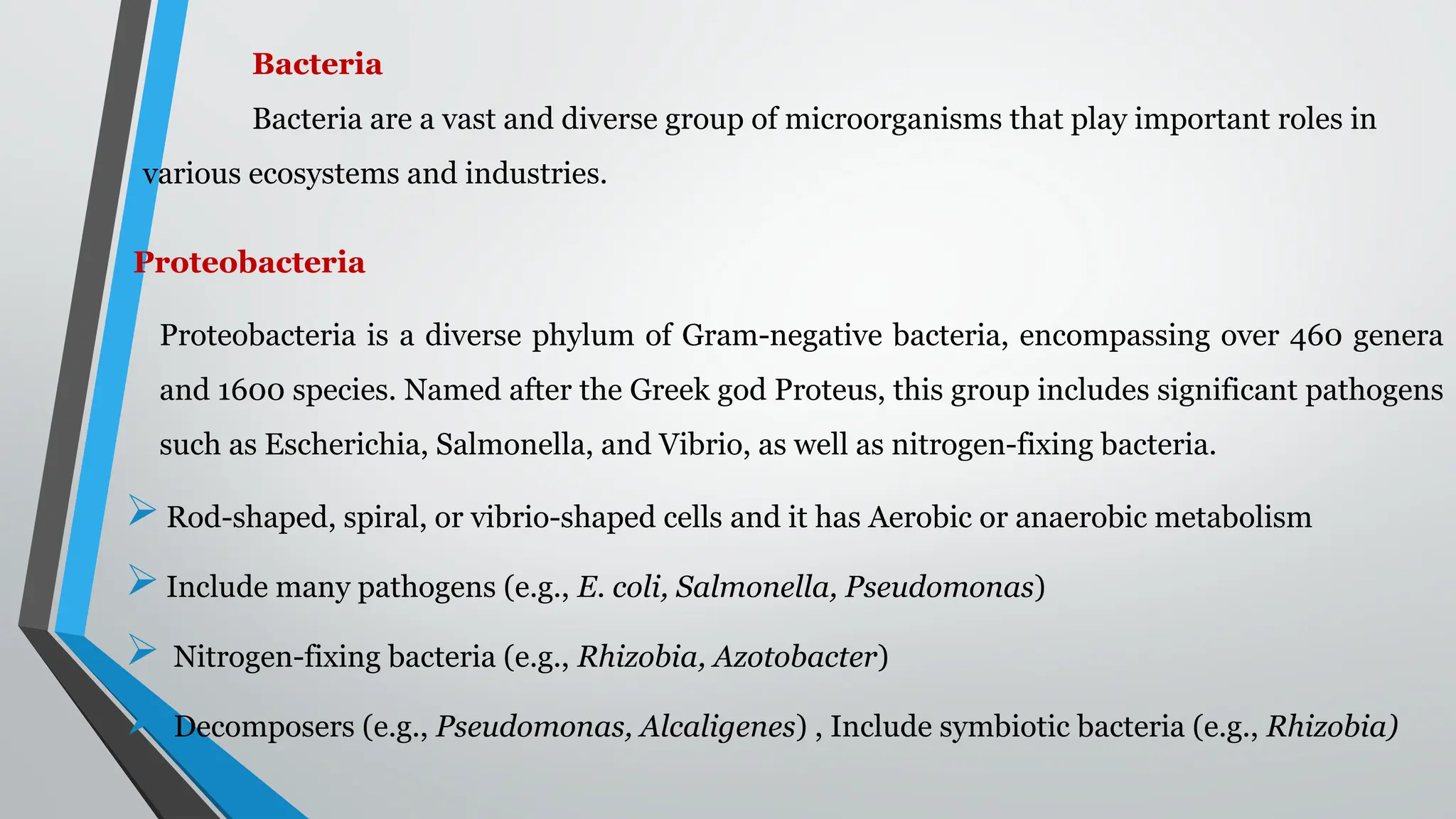 Important groups of prokaryotes : Bacteria & Archaea , it’s Subgroups ...