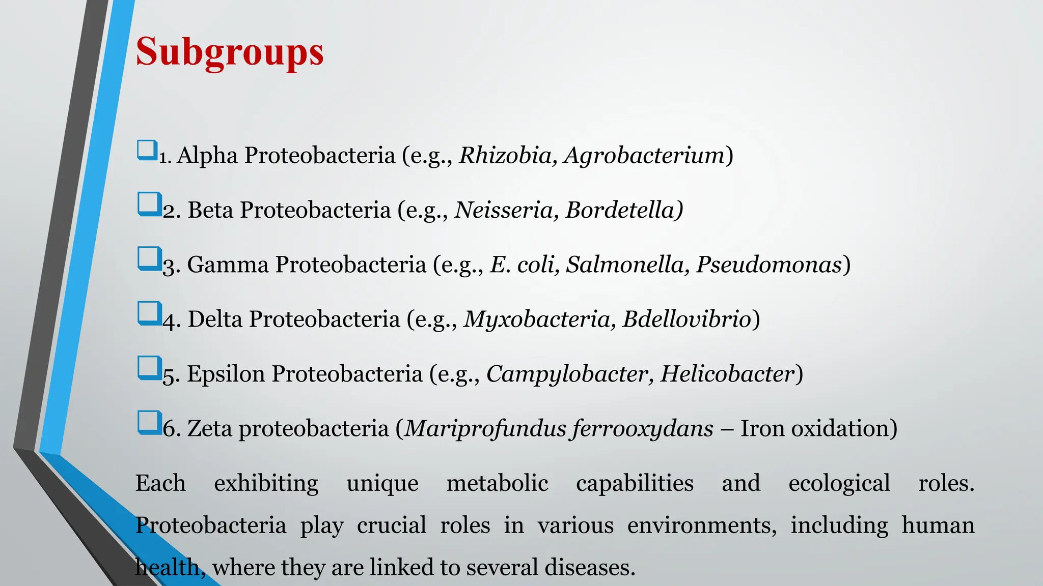 Important groups of prokaryotes : Bacteria & Archaea , it’s Subgroups ...