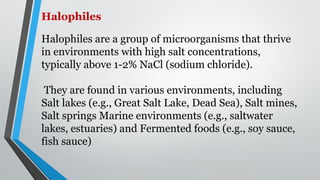Important groups of prokaryotes : Bacteria & Archaea , it’s Subgroups ...