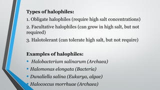 Important groups of prokaryotes : Bacteria & Archaea , it’s Subgroups ...