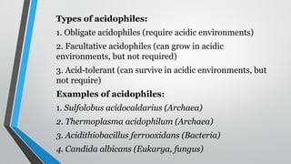 Important groups of prokaryotes : Bacteria & Archaea , it’s Subgroups ...