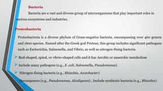 Important groups of prokaryotes : Bacteria & Archaea , it’s Subgroups ...