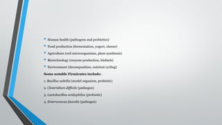 Important groups of prokaryotes : Bacteria & Archaea , it’s Subgroups ...