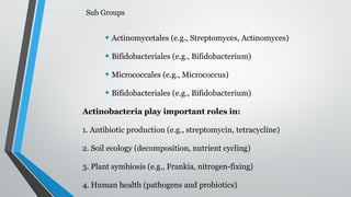 Important groups of prokaryotes : Bacteria & Archaea , it’s Subgroups ...