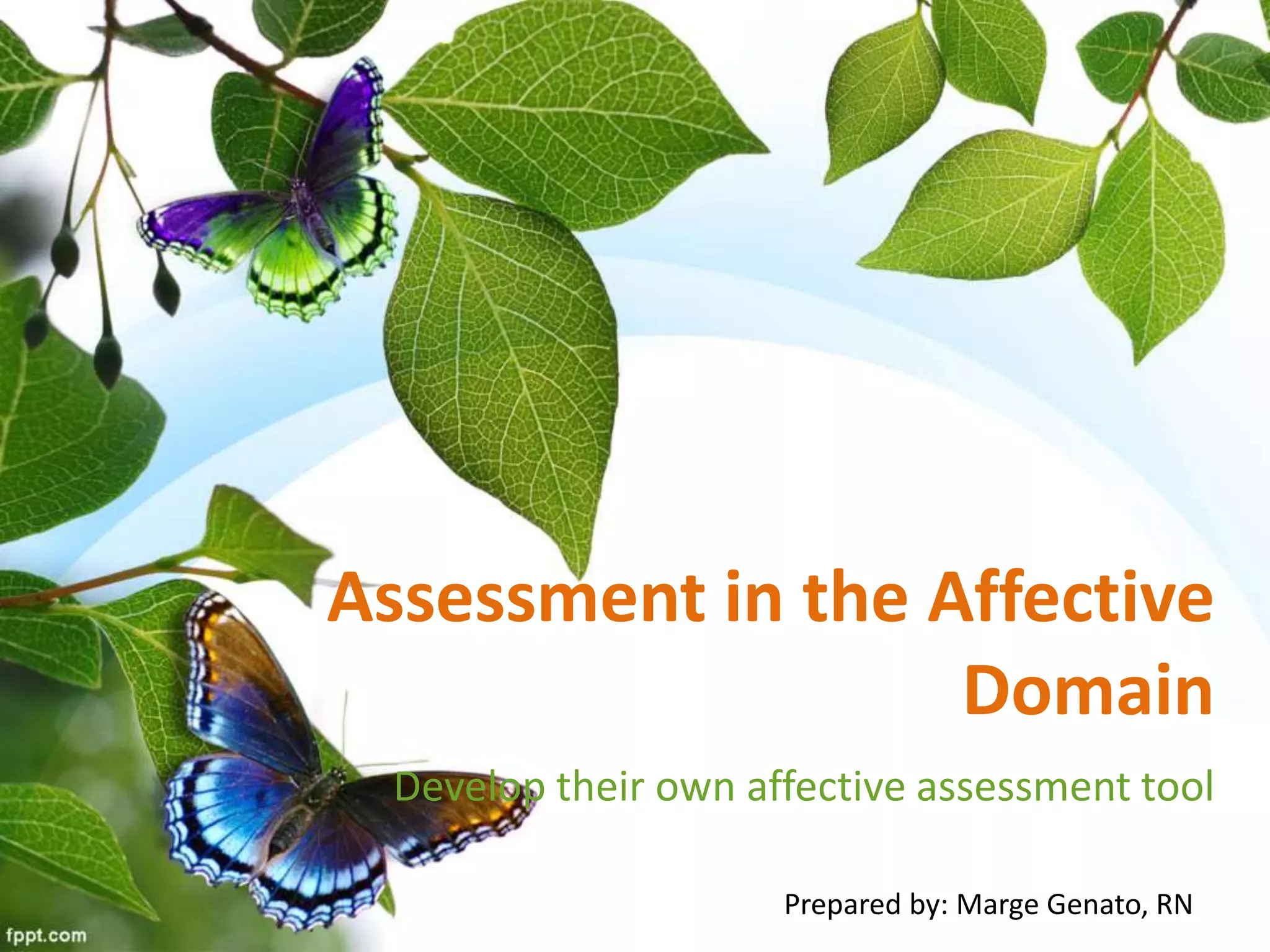 Assessment in the Affective Domain - Lesson Plan AP.pptx