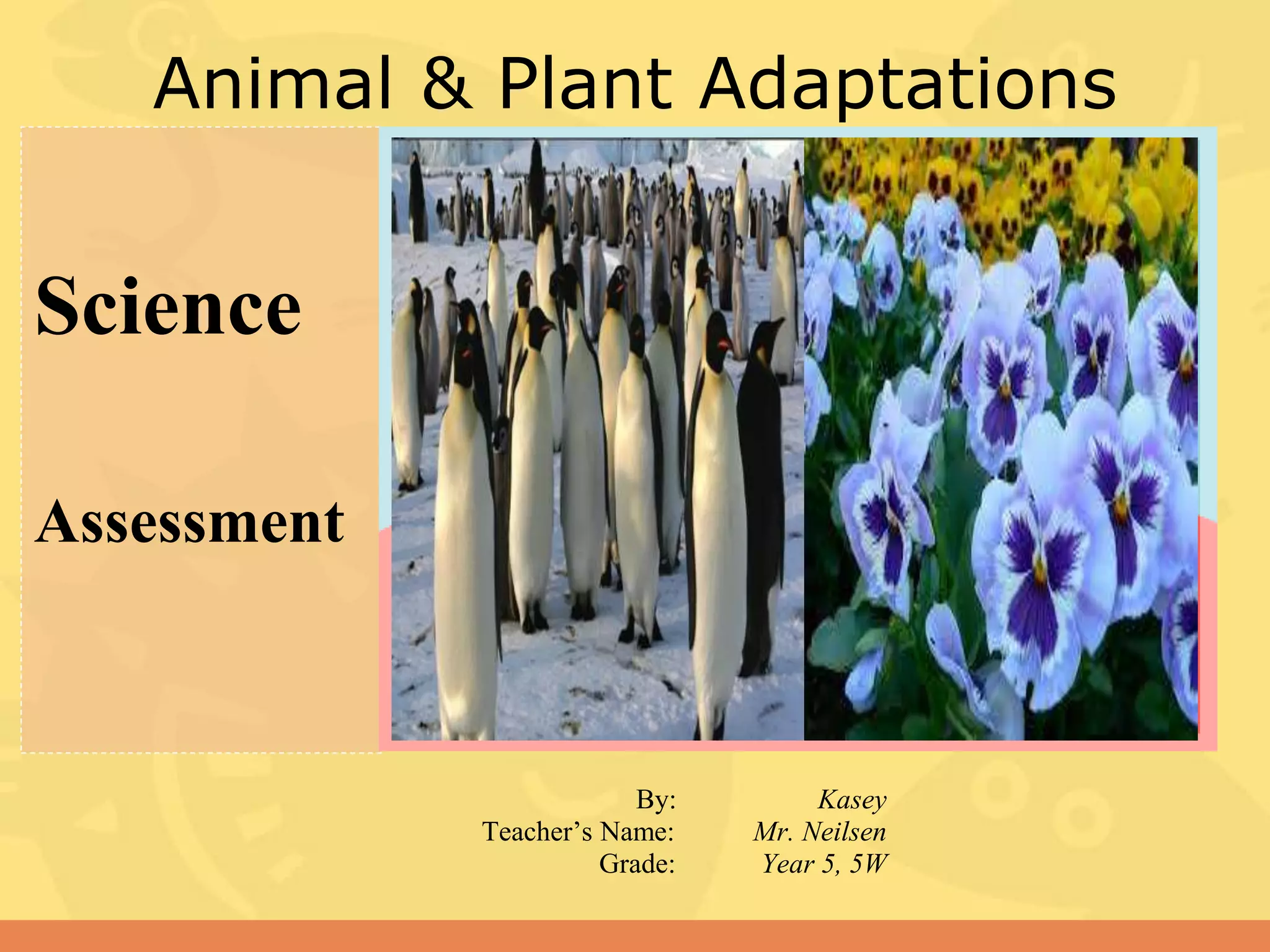Plant and Animal Adaptations | PPT