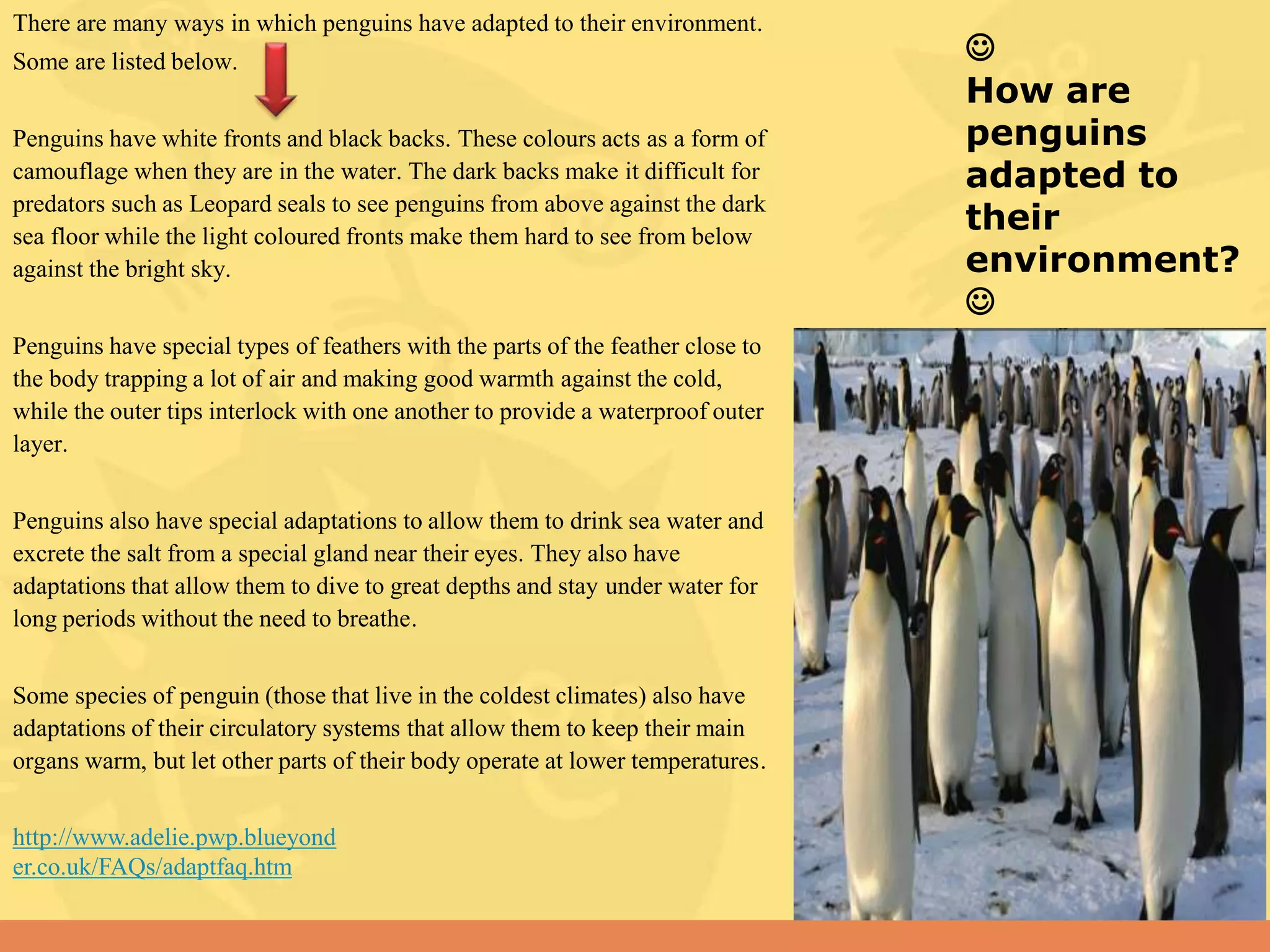 Plant and Animal Adaptations | PPT