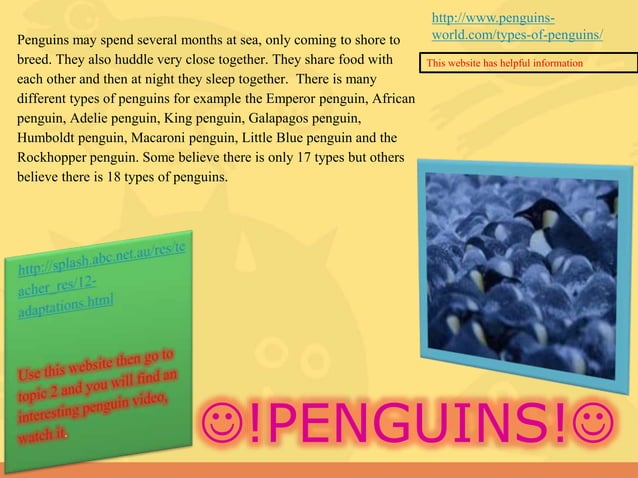 Plant and Animal Adaptations | PPT