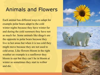Plant and Animal Adaptations | PPT