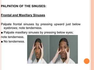 Assessment neck | PPT