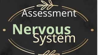 Assessment on the major Divisions of Nervous System | PPT
