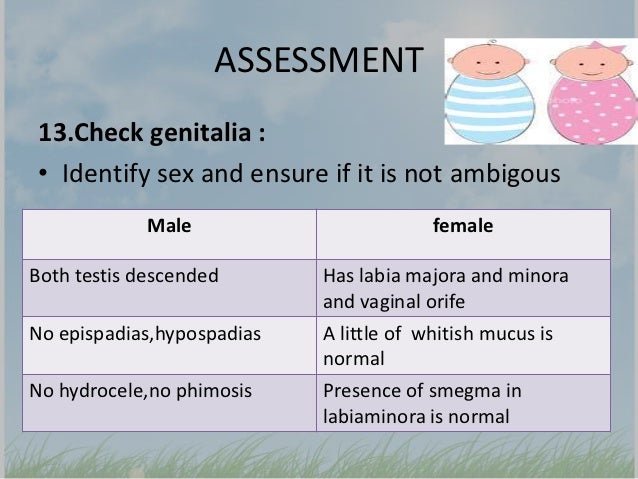 Assessment newborn