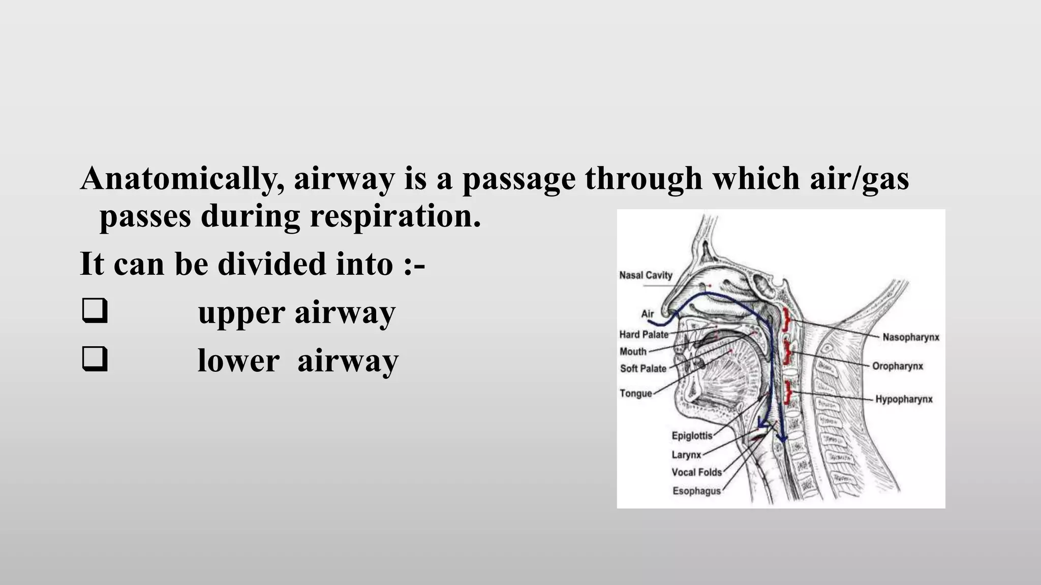 Assessment of airway | PPTX